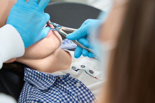 Healing Timeline for Adult Tooth Extractions - Hudson Valley ...
